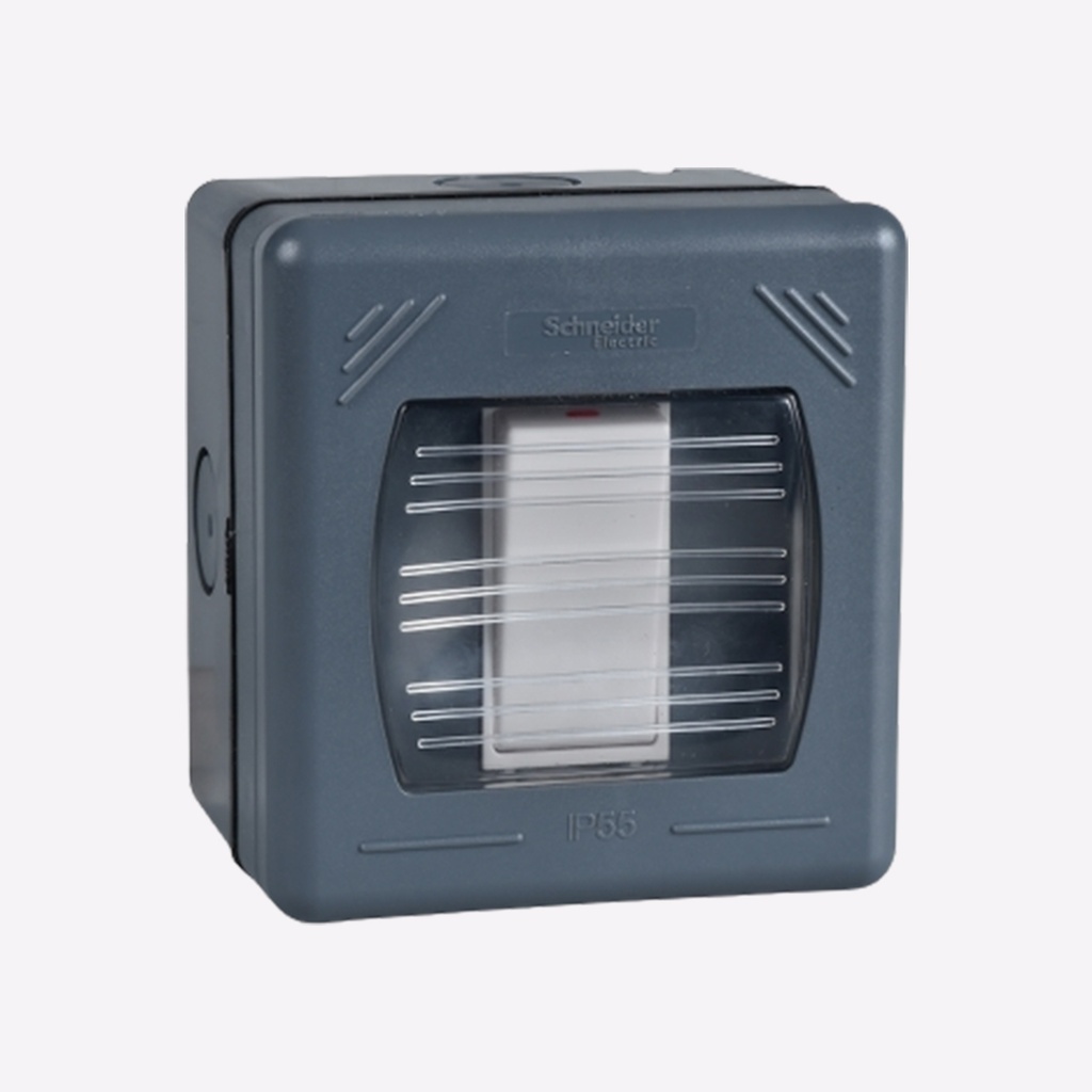 20A DP SWITCH WEATHER PROOF IP55 - SCHNEIDER | Plaza Middle East