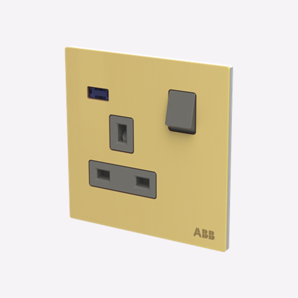 13A 1G S/SOCKET + USB MILLENIUM MATT GOLD - ABB | Plaza Middle East
