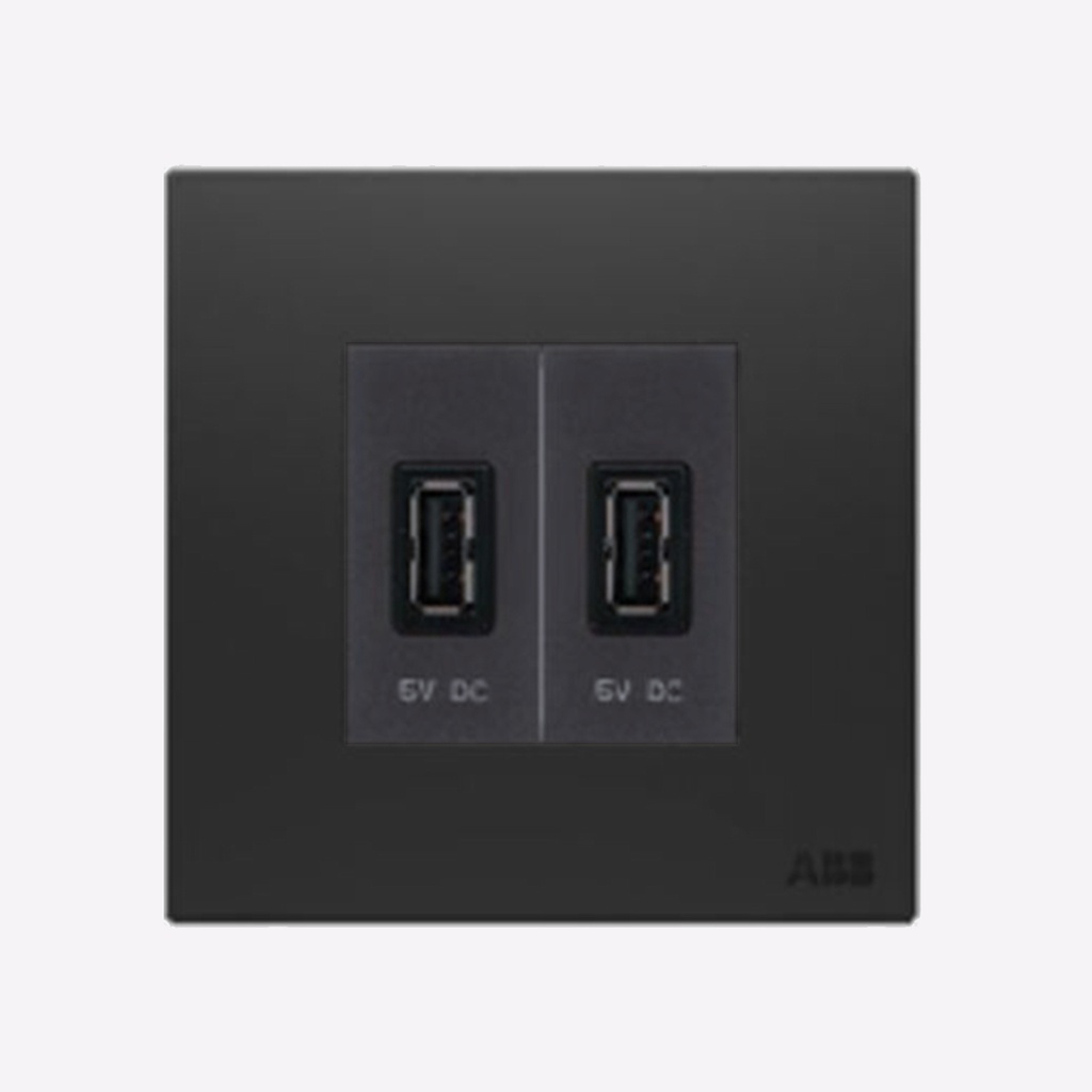 2G USB SOCKET MILLENIUM SILK BLACK - ABB | Plaza Middle East