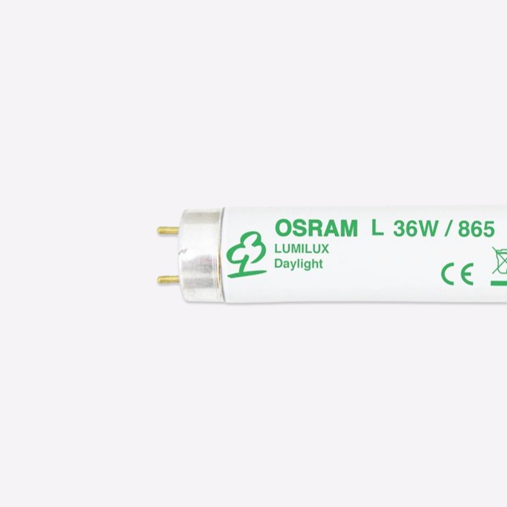LUMILUX T8 L 36W TUBE ROD 4FT COOL DAYLIGHT G13 - OSRAM | Plaza Middle East