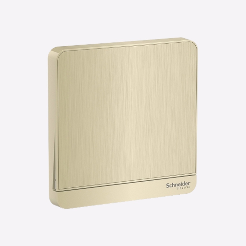 16A 1G 1WAY SWITCH AVATARON METAL GOLD HAIRLINE - SCHNEIDER | Plaza ...