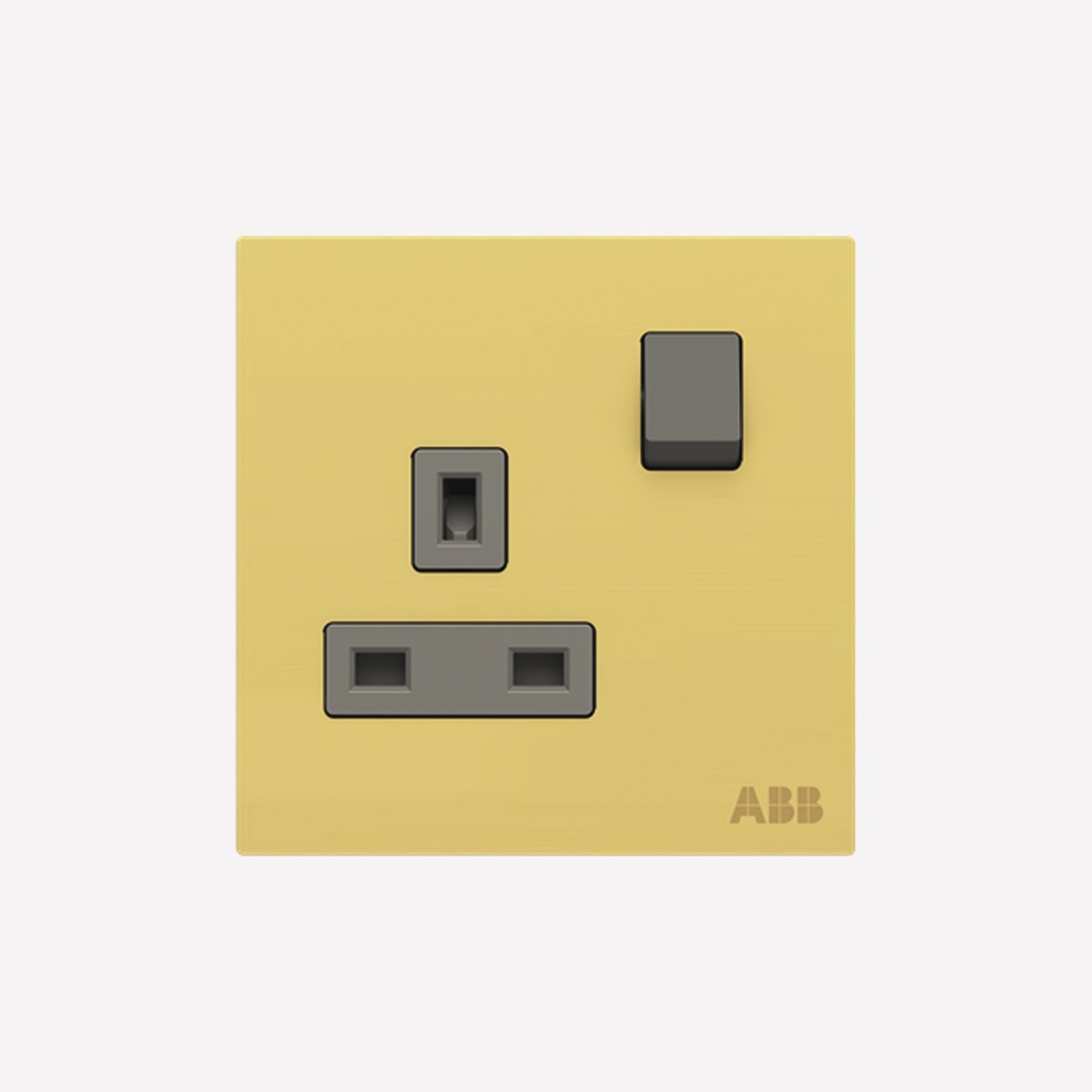 Buy 13A 1G Switched Socket Millenium Matt | ABB Socket UAE