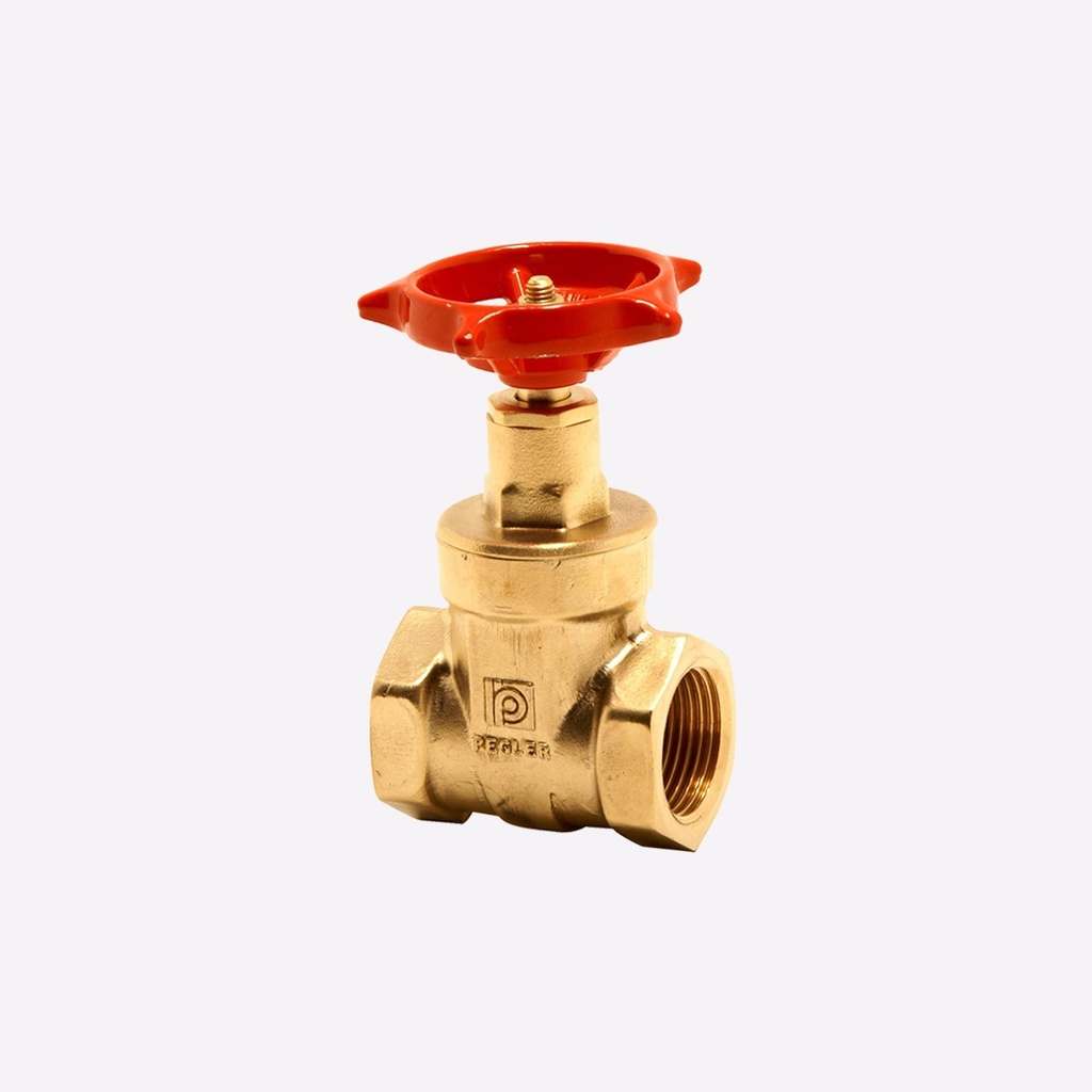 Buy Gate Valve 1" - Pegler Online Dubai, UAE | Plaza Middleeast